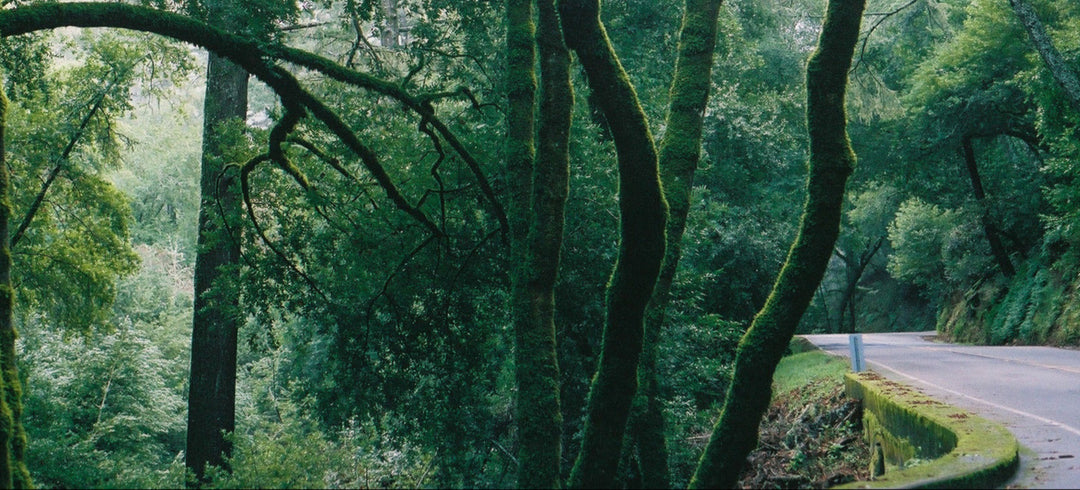 MEET THE TEAM – INBAR+co