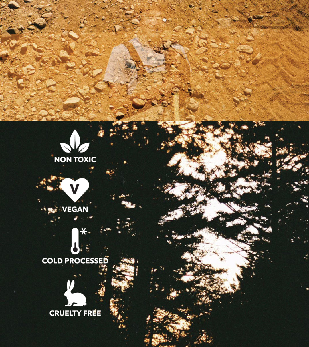 transparency – INBAR+co